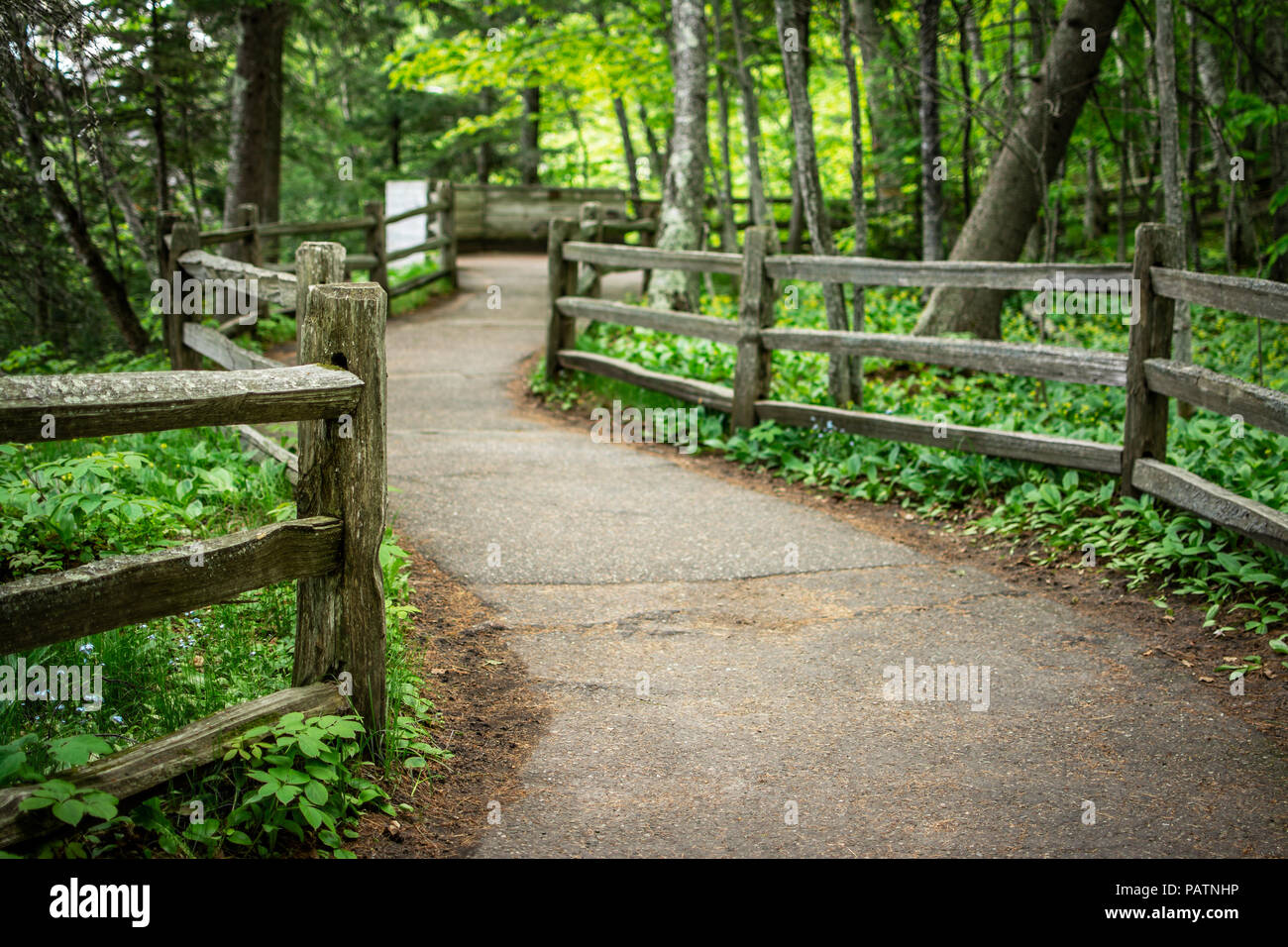 Paved path fence rocks hi-res stock photography and images - Alamy