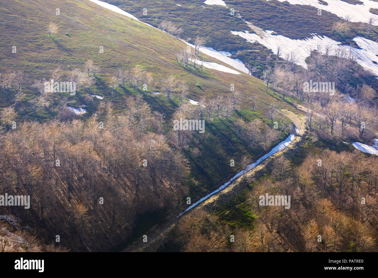 Spring mountains with green grass landscape Stock Photo - Alamy