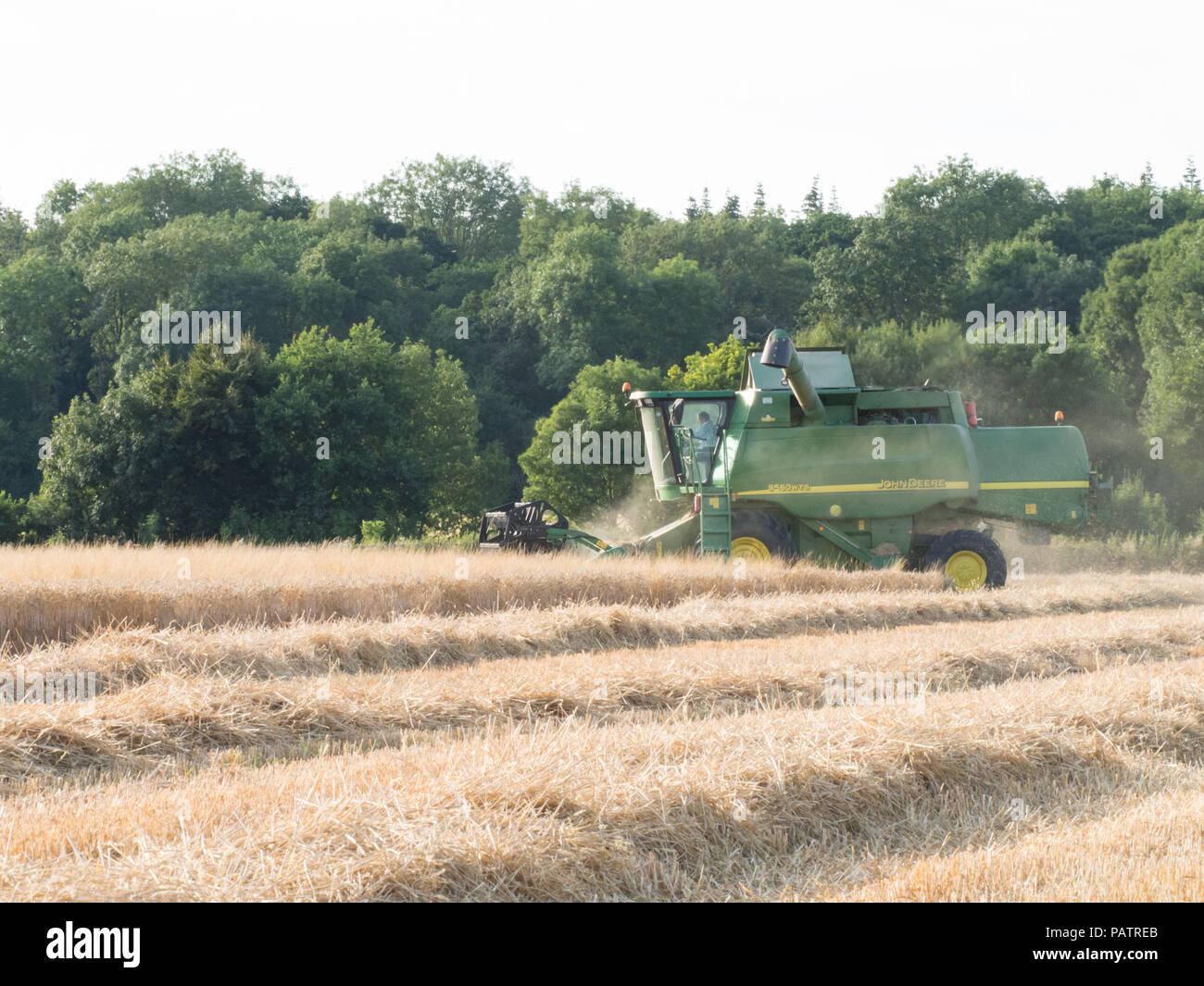 A very early harvest, July, Wiltshire, Combine harvester Stock Photo ...