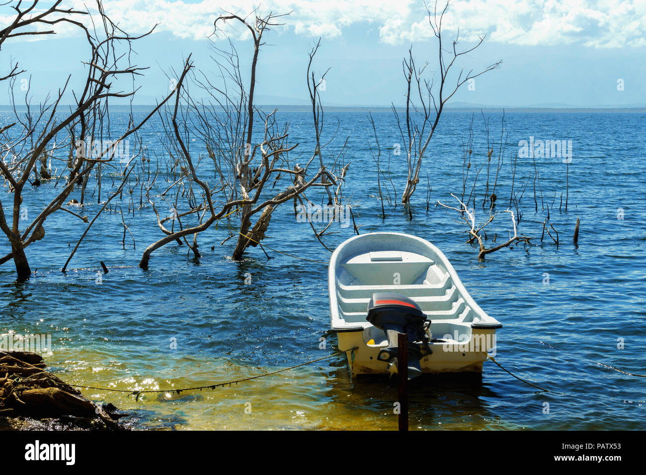 white empty motor boat on salt lake, the trunks of the trees without ...
