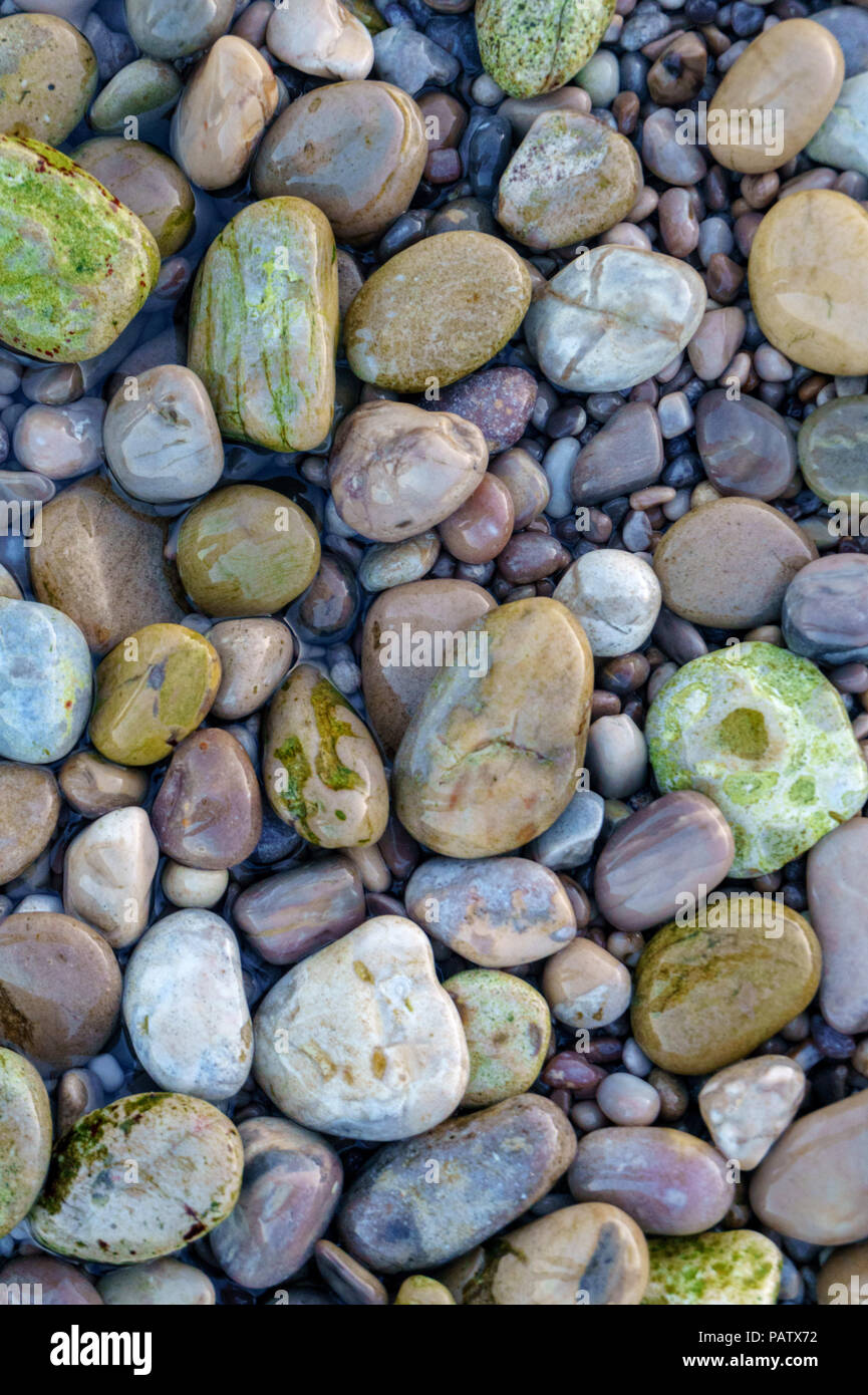 bright background of color pebbles. stones texture Stock Photo - Alamy
