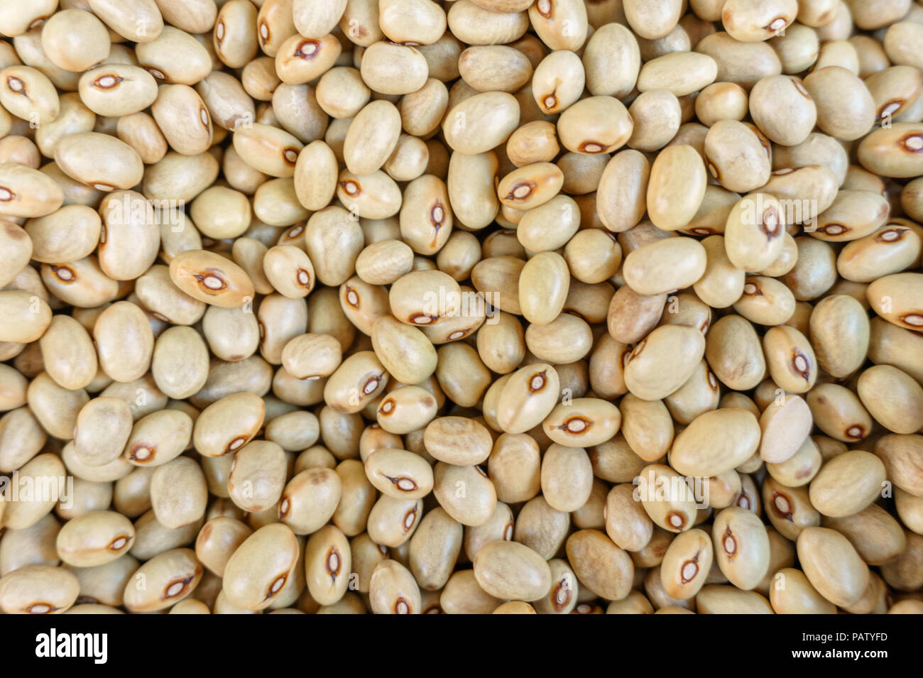 lots of beans close up, bean background, beans on the market Stock ...