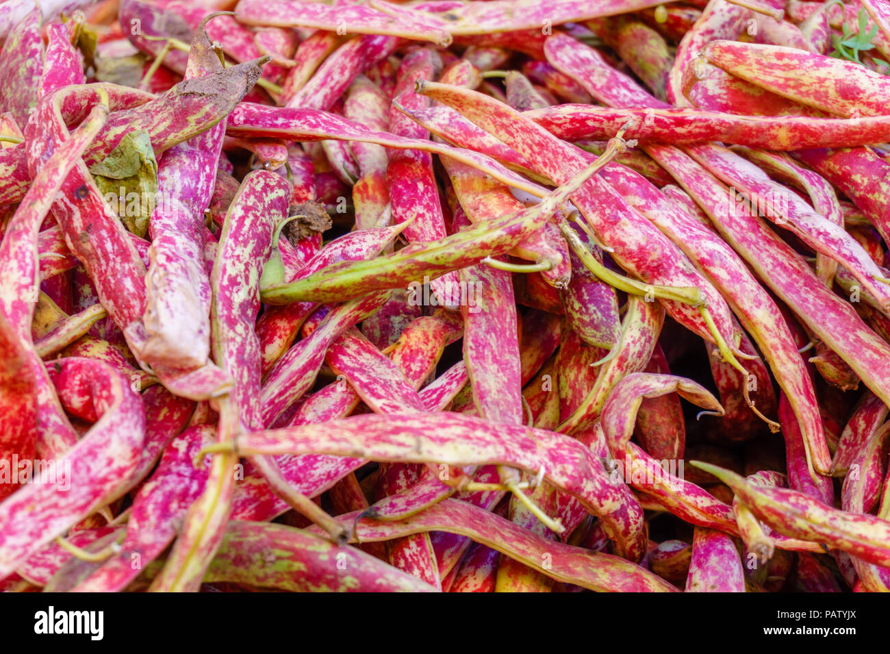 Red string beans hi-res stock photography and images - Alamy