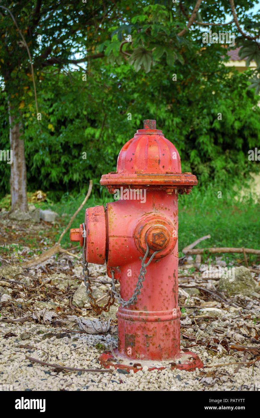 red metallic fire hydrant with rust in the Park Stock Photo - Alamy
