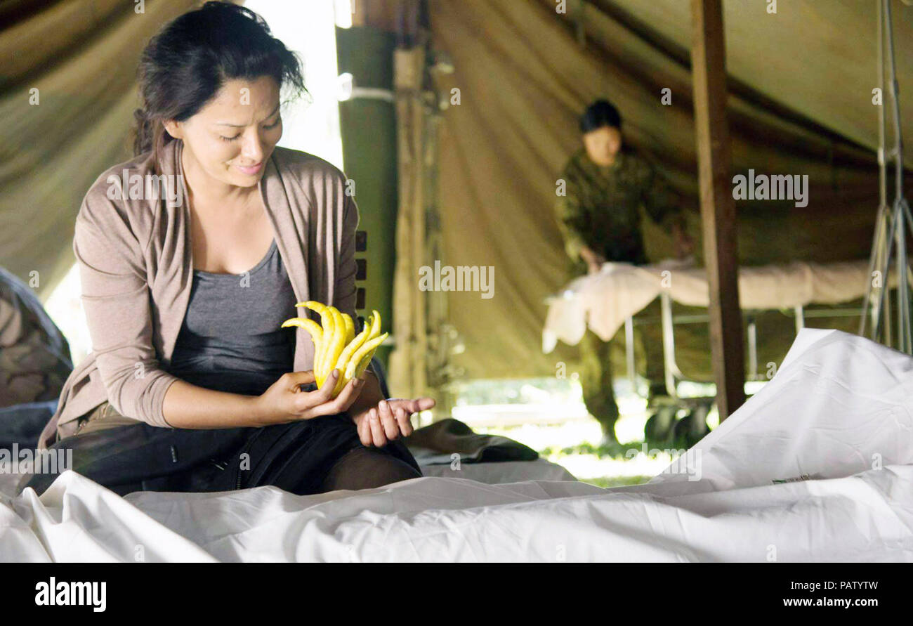 OCCUPATION, Stephanie Jacobsen, 2018. © Saban Films /Courtesy Everett ...