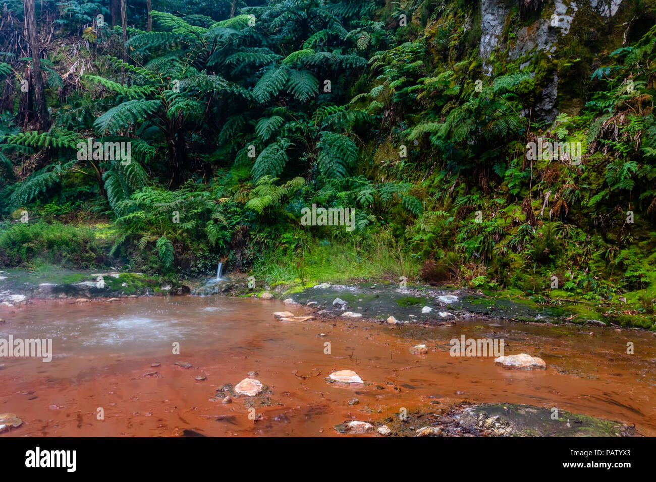 Caldeira Velha waterfall and pool at Sao Miguel - Azores Island ...