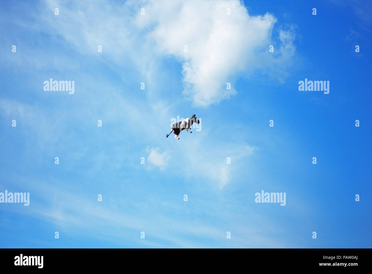 Alien kite hi-res stock photography and images - Alamy