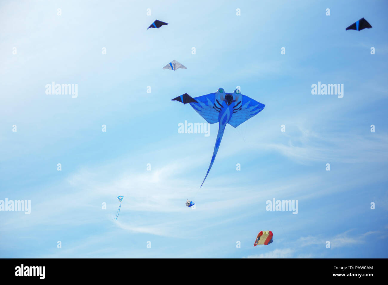 group of kites and blue kite in the sky. Kite festival. Famile event ...