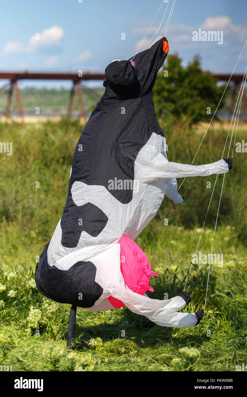 cow air kite landing on the ground on kite festival Stock Photo - Alamy