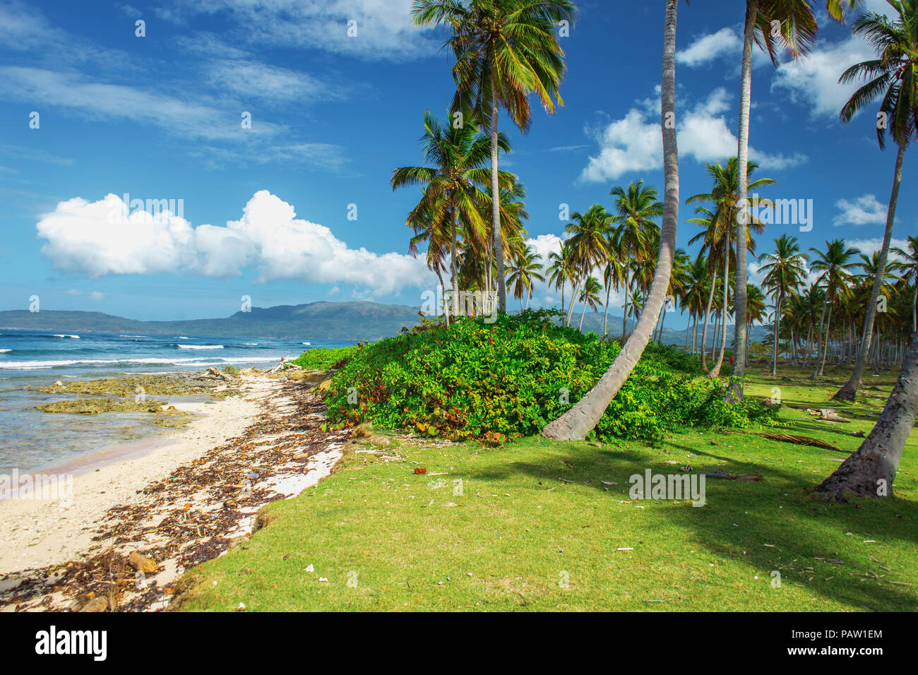 Beautiful caribbean landscape hi-res stock photography and images - Alamy