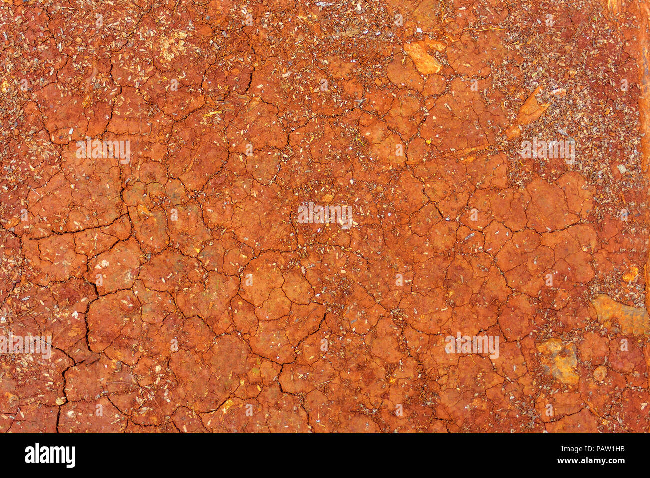 textured background of cracked red soil Stock Photo - Alamy