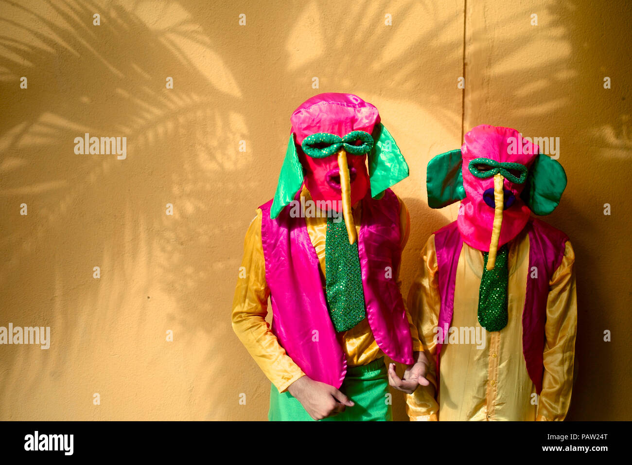 One of the most important and known character is the Marimonda ...