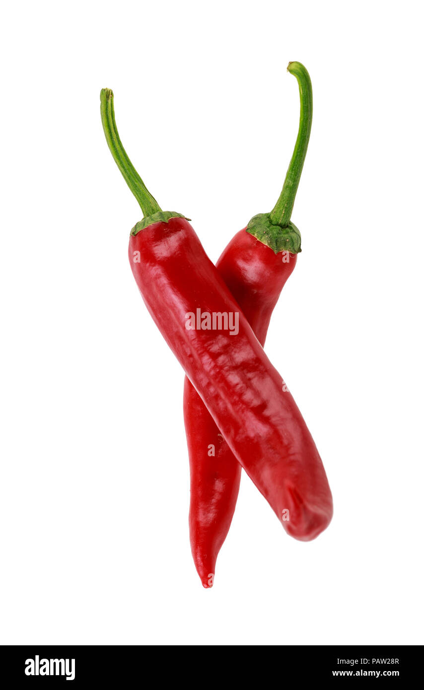 two hot red chilli peppers crosswise isolated on white background Stock ...