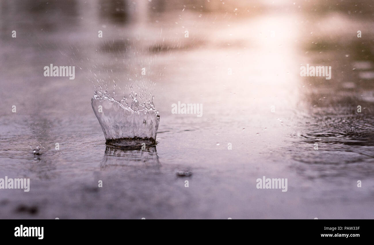 Rain Splash