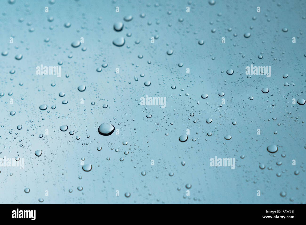 rain drops on clear glass, rain droplets Stock Photo - Alamy