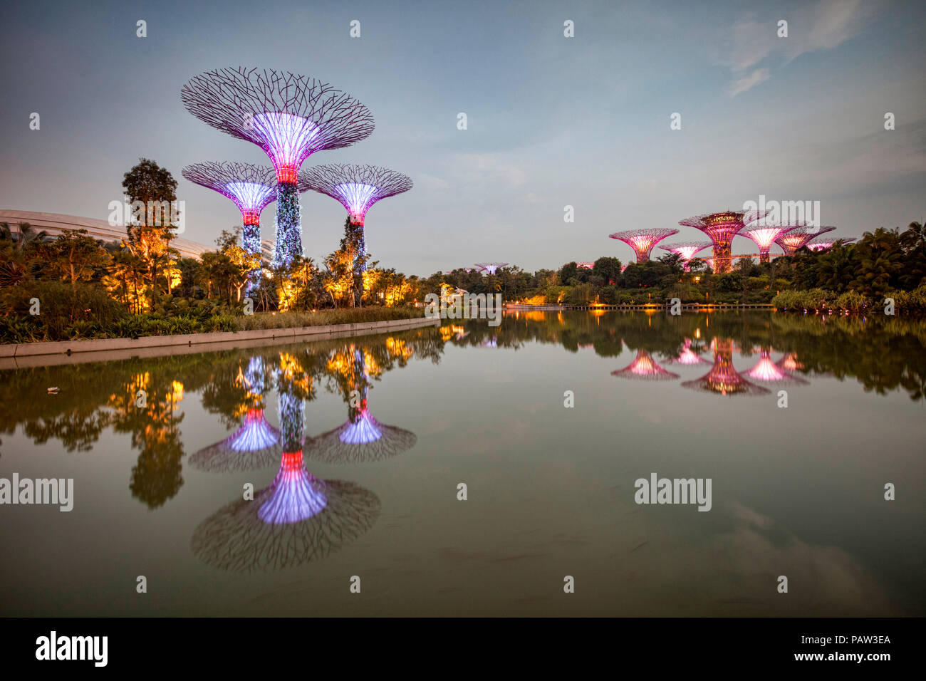Supertrees, Singapore, illuminated at twilight and reflected in ...