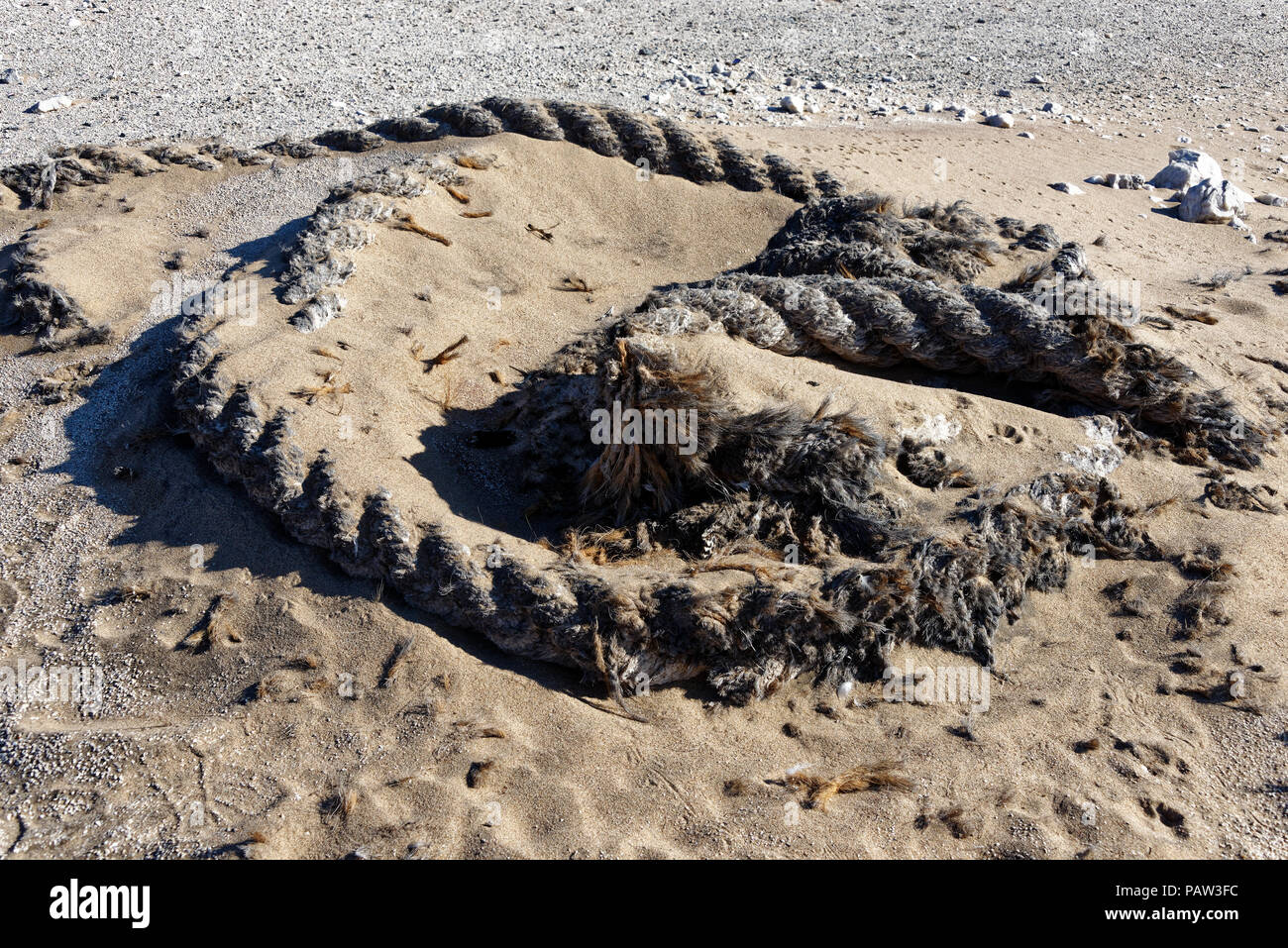 Frayed knot hi-res stock photography and images - Alamy