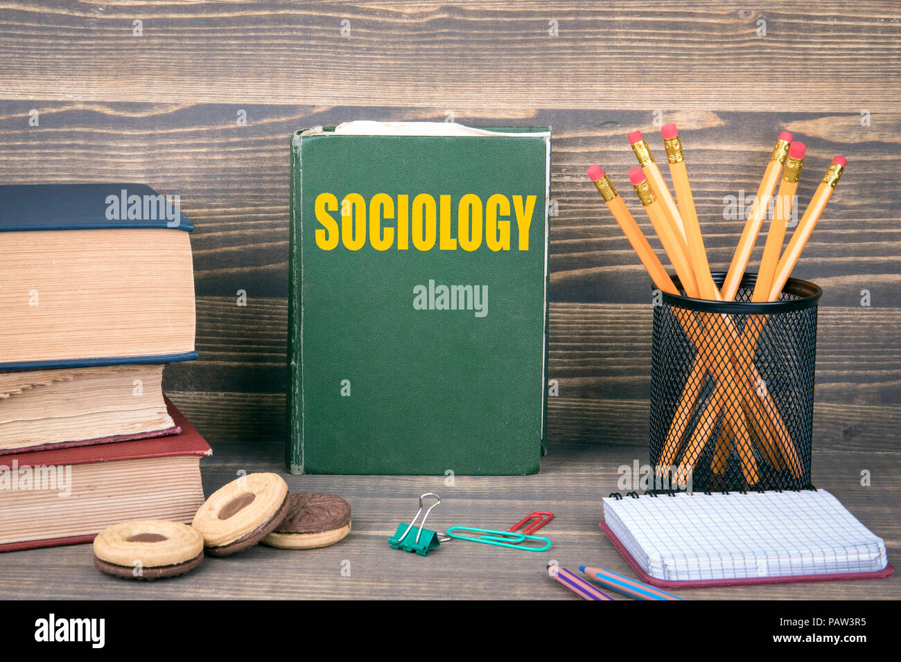 Sociology business concept. Book on a wooden background Stock Photo - Alamy