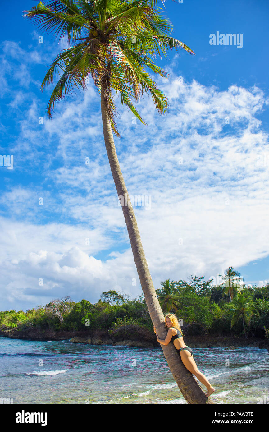 Hugging palm tree hi-res stock photography and images - Alamy