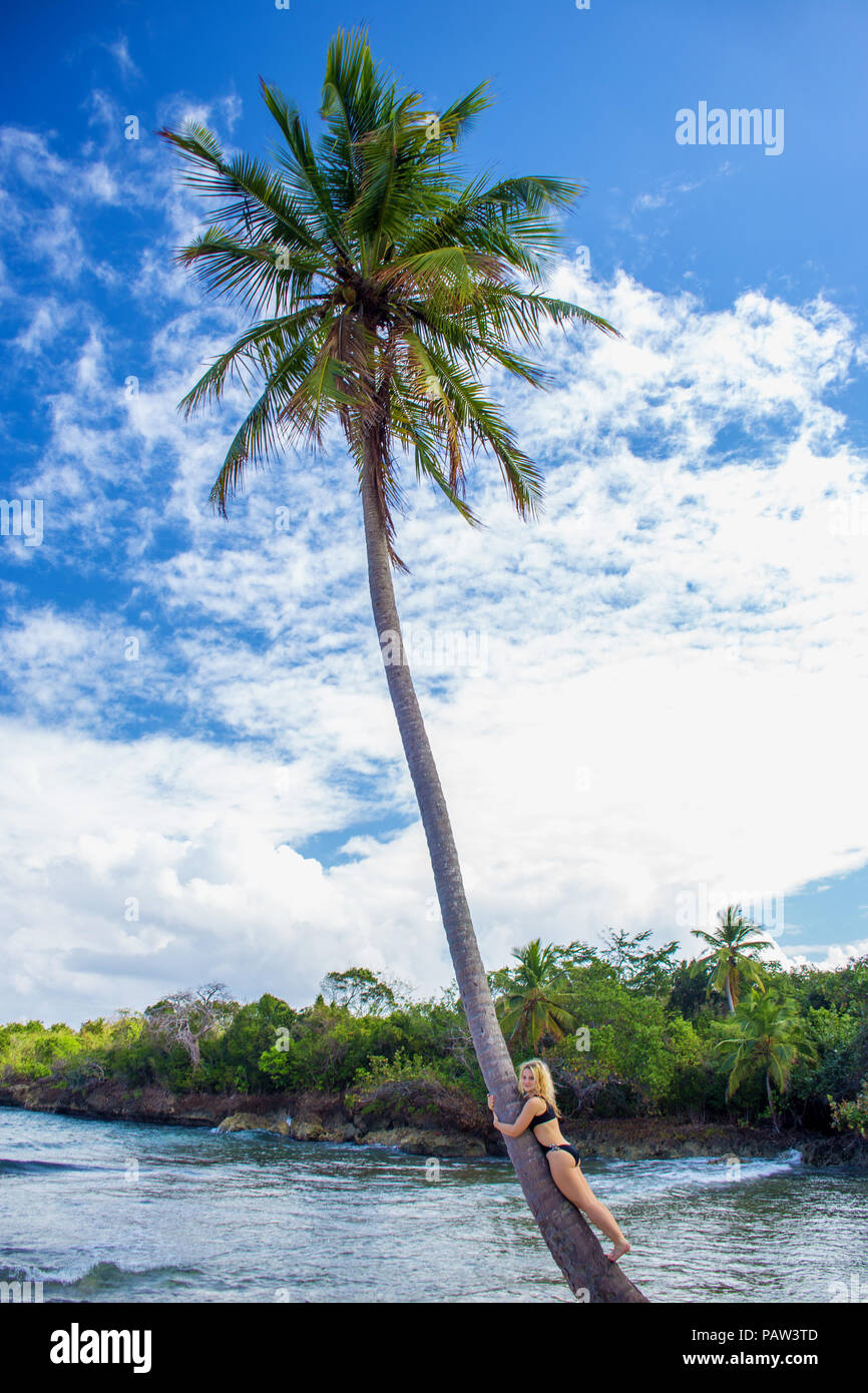 Hugging palm tree hi-res stock photography and images - Alamy