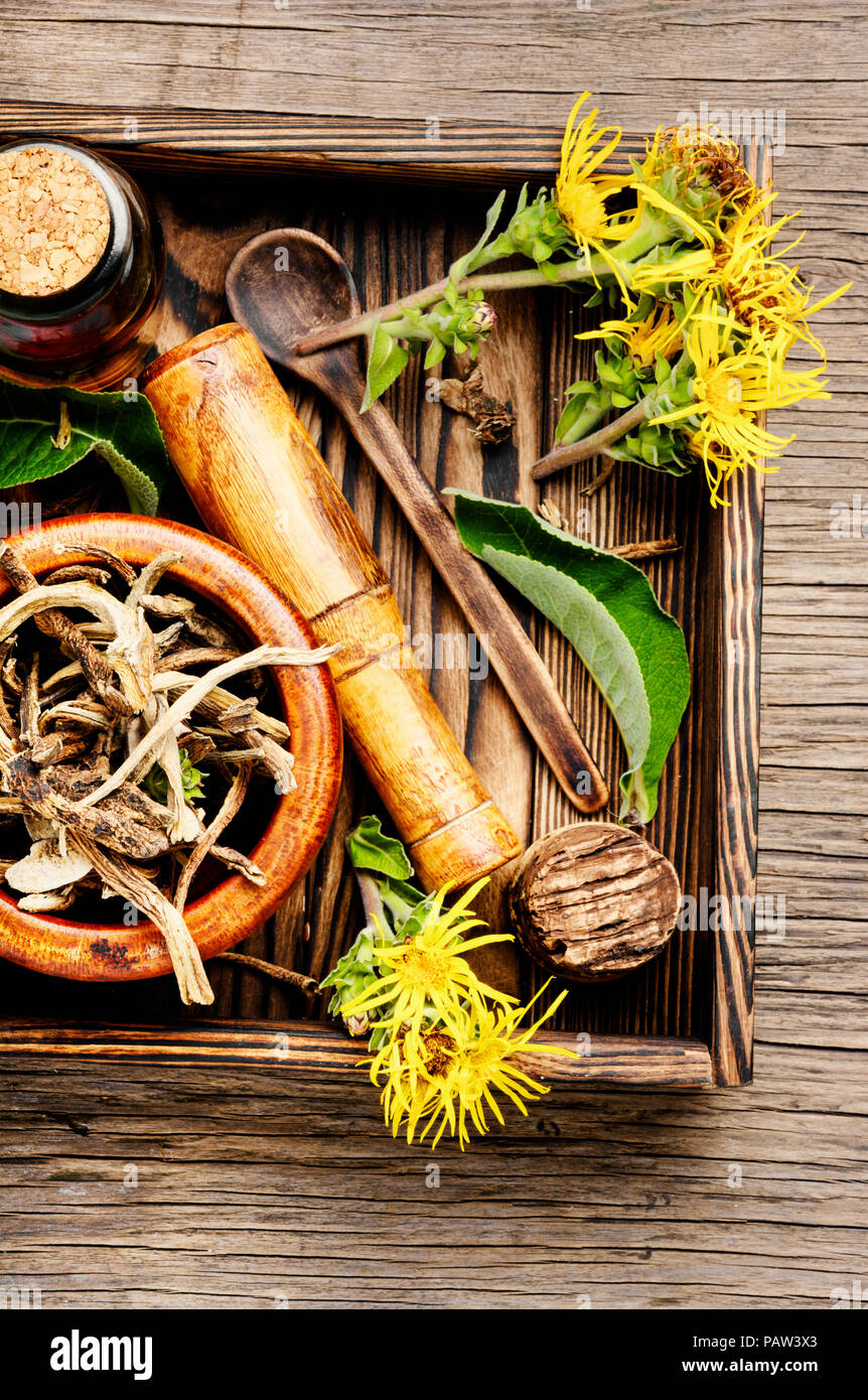 Healing elixir from the root of inula Stock Photo - Alamy