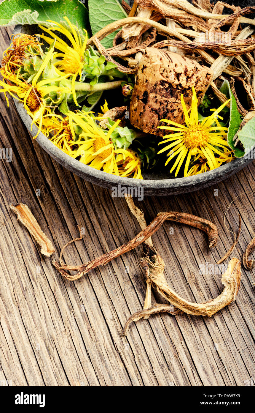 Medicinal raw materials from roots and rhizomes of inula.Herbs medicine ...