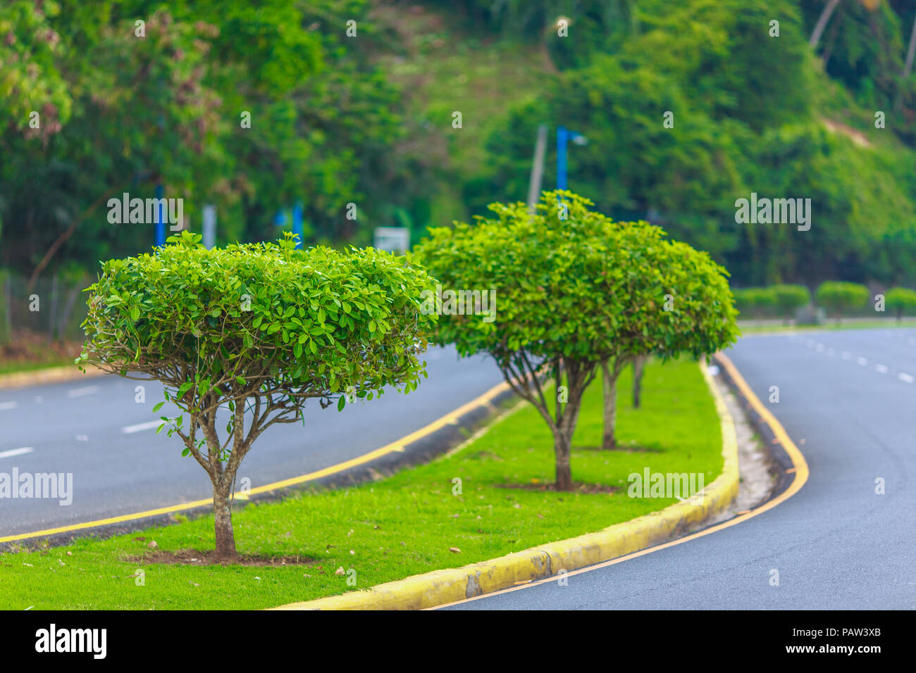 strip with green trees and grass on paved road Stock Photo - Alamy