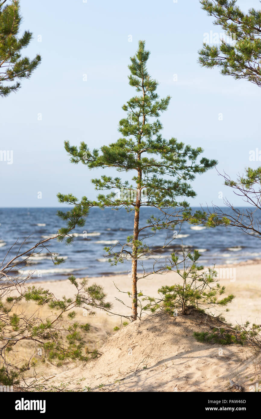 Beaches autumn hi-res stock photography and images - Alamy