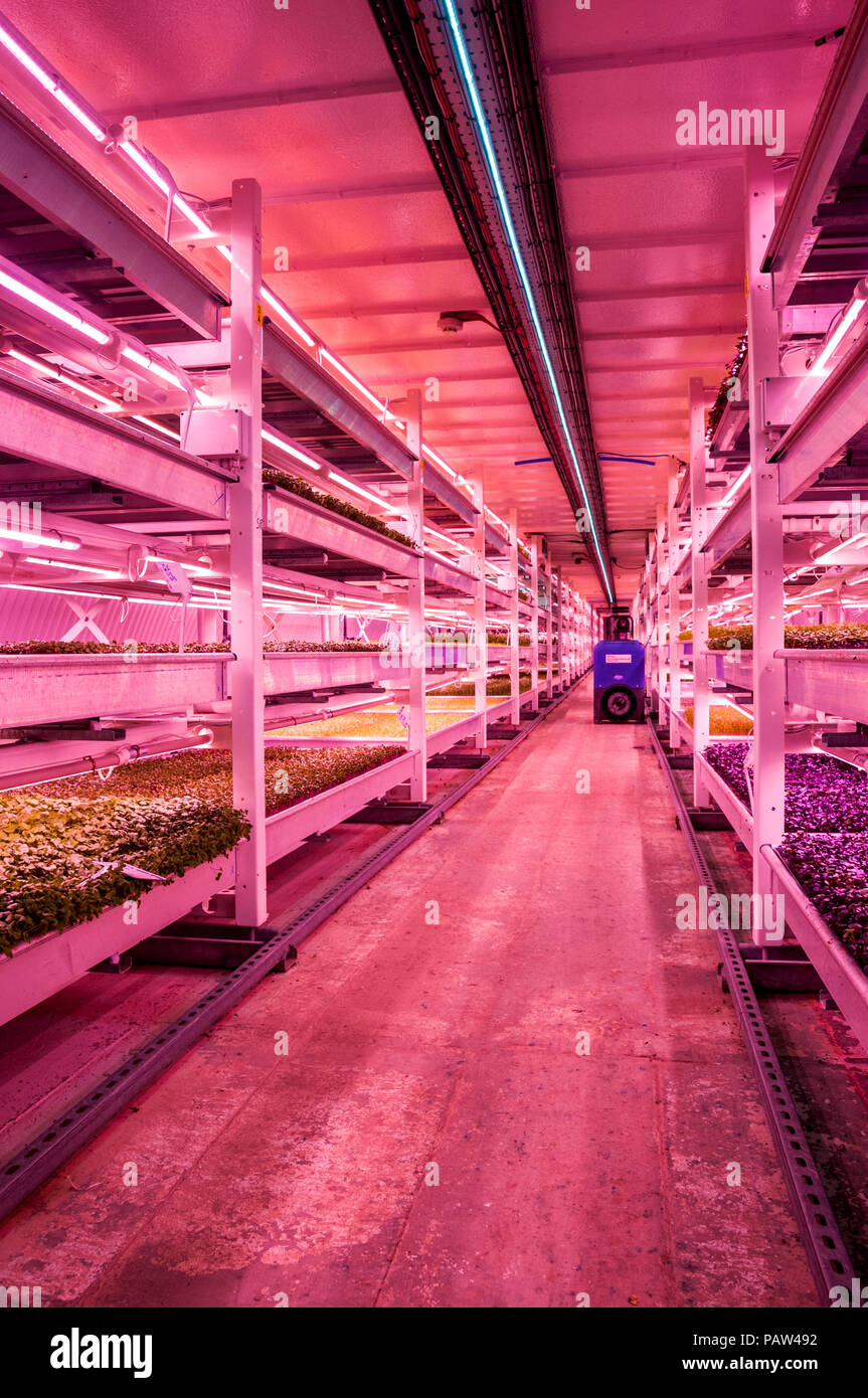 Micro tunnel hi-res stock photography and images - Alamy