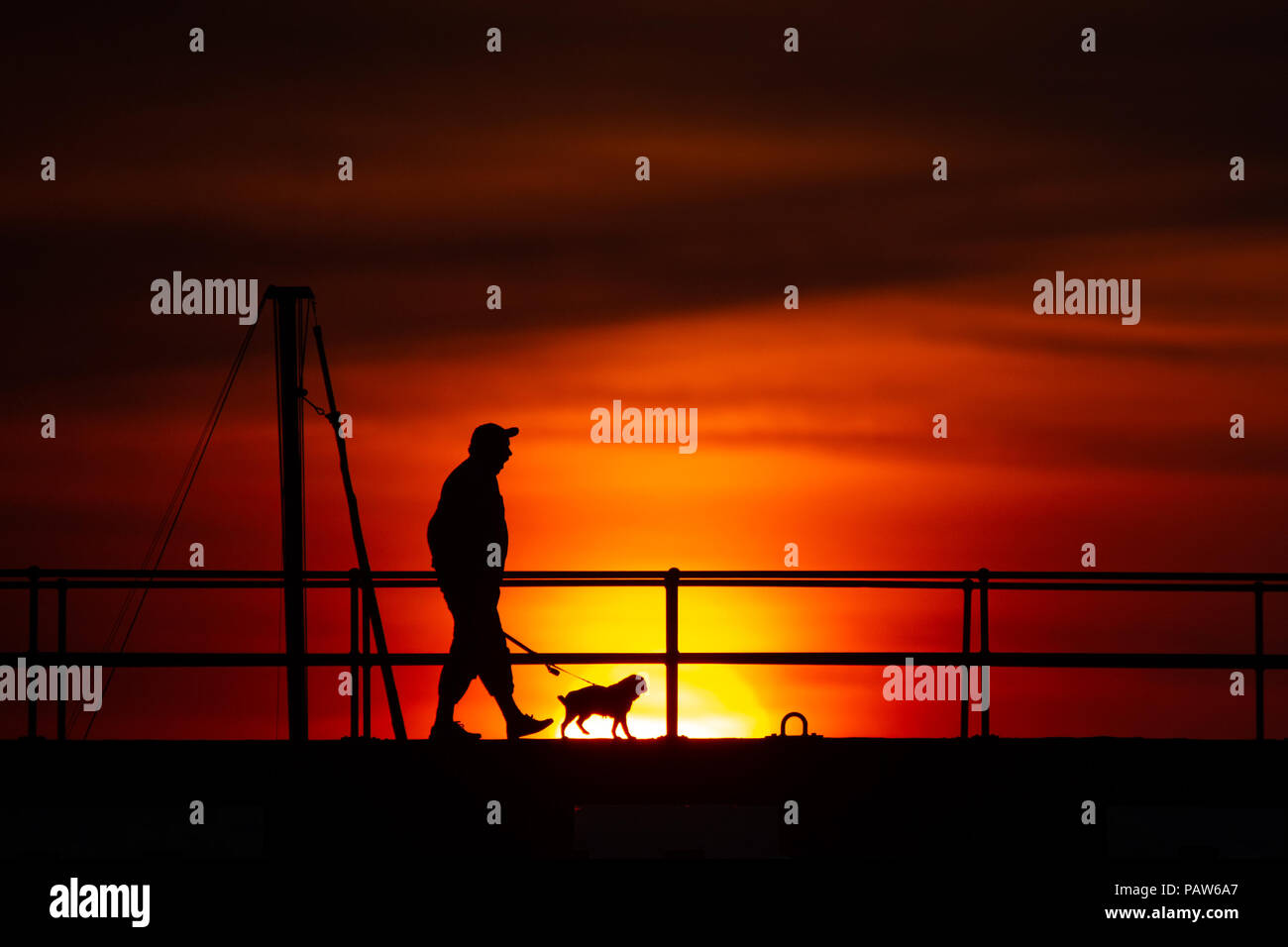 Small Dog The Jetty High Resolution Stock Photography and Images - Alamy