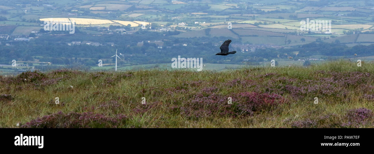 Slieve Croob, Dromara Hills, County Down, Northern Ireland. 24 July ...