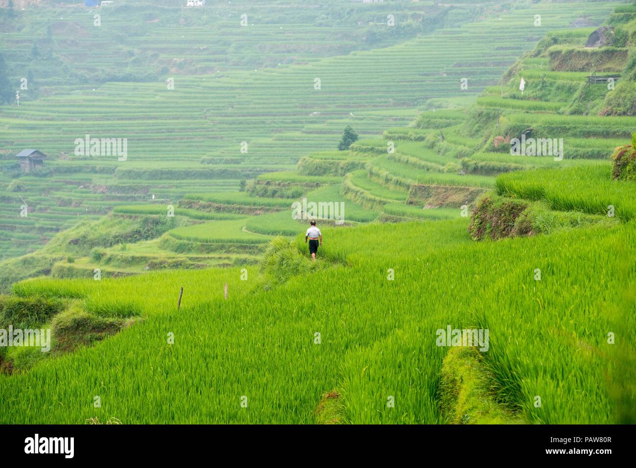 Congjian, Congjian, China. 25th July, 2018. Congjiang, CHINA-Scenery of ...