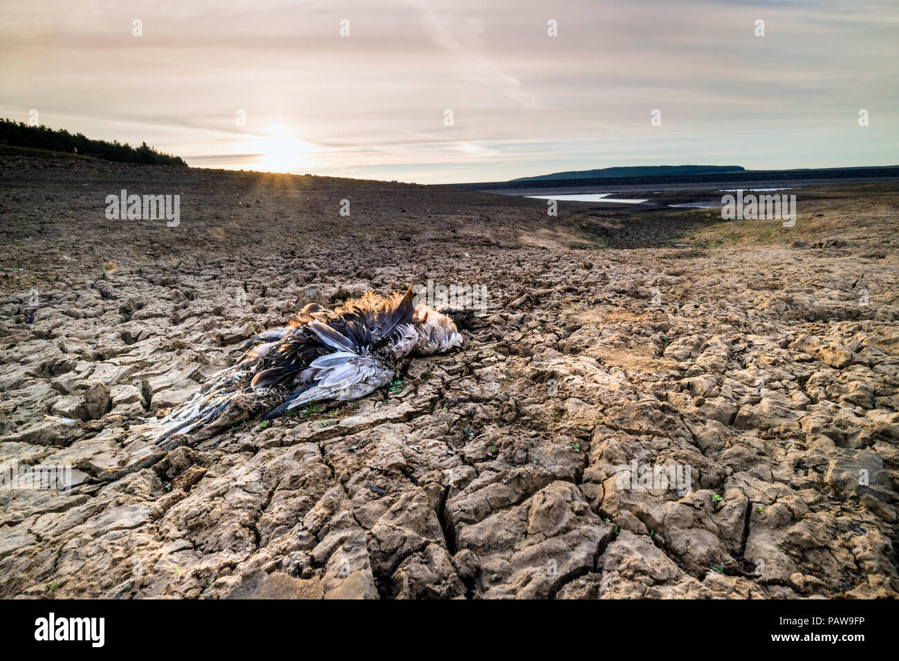 Dead humans hi-res stock photography and images - Alamy
