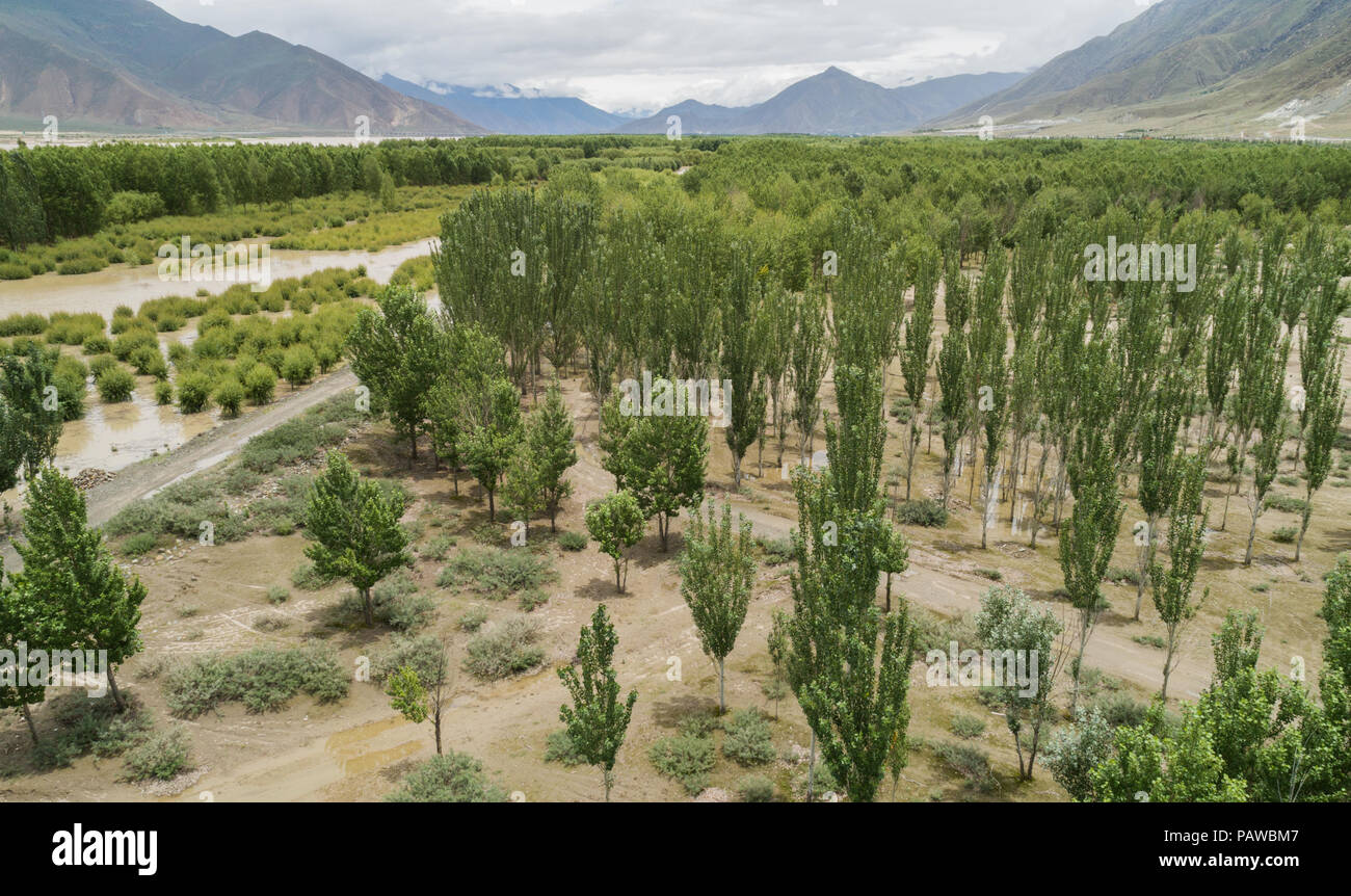 Naidong hi-res stock photography and images - Alamy