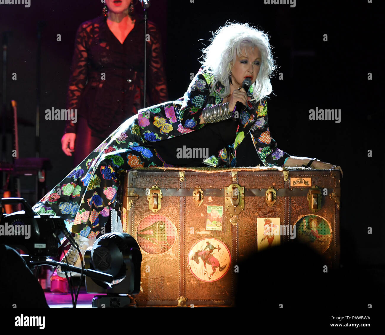 HOLLYWOOD FL - JULY 24: Cyndi Lauper performs at the Hard Rock Events ...