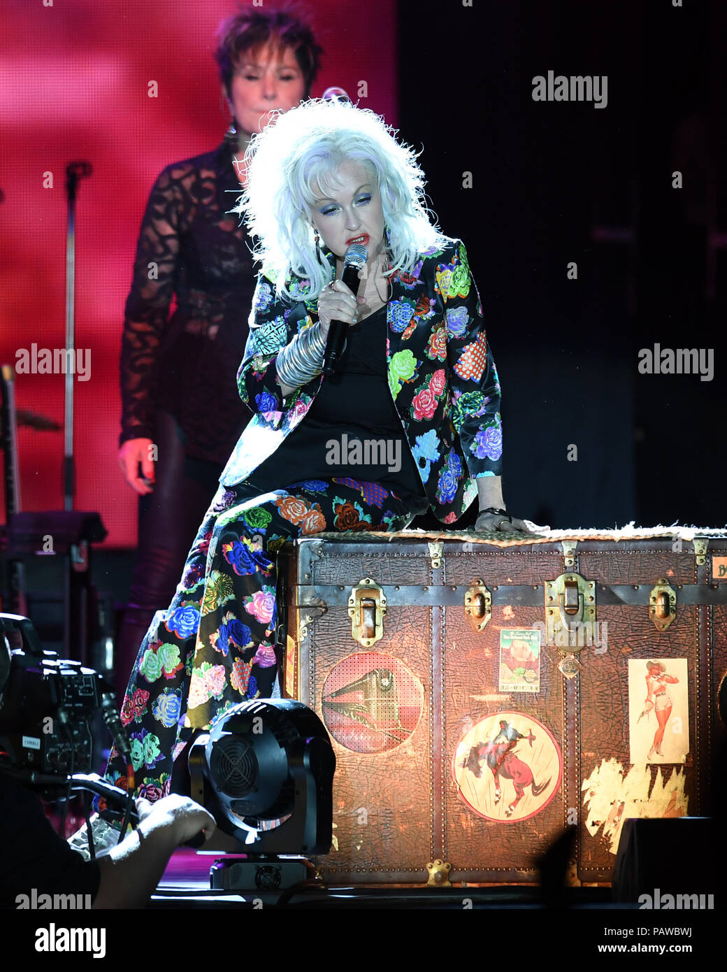 HOLLYWOOD FL - JULY 24: Cyndi Lauper performs at the Hard Rock Events ...