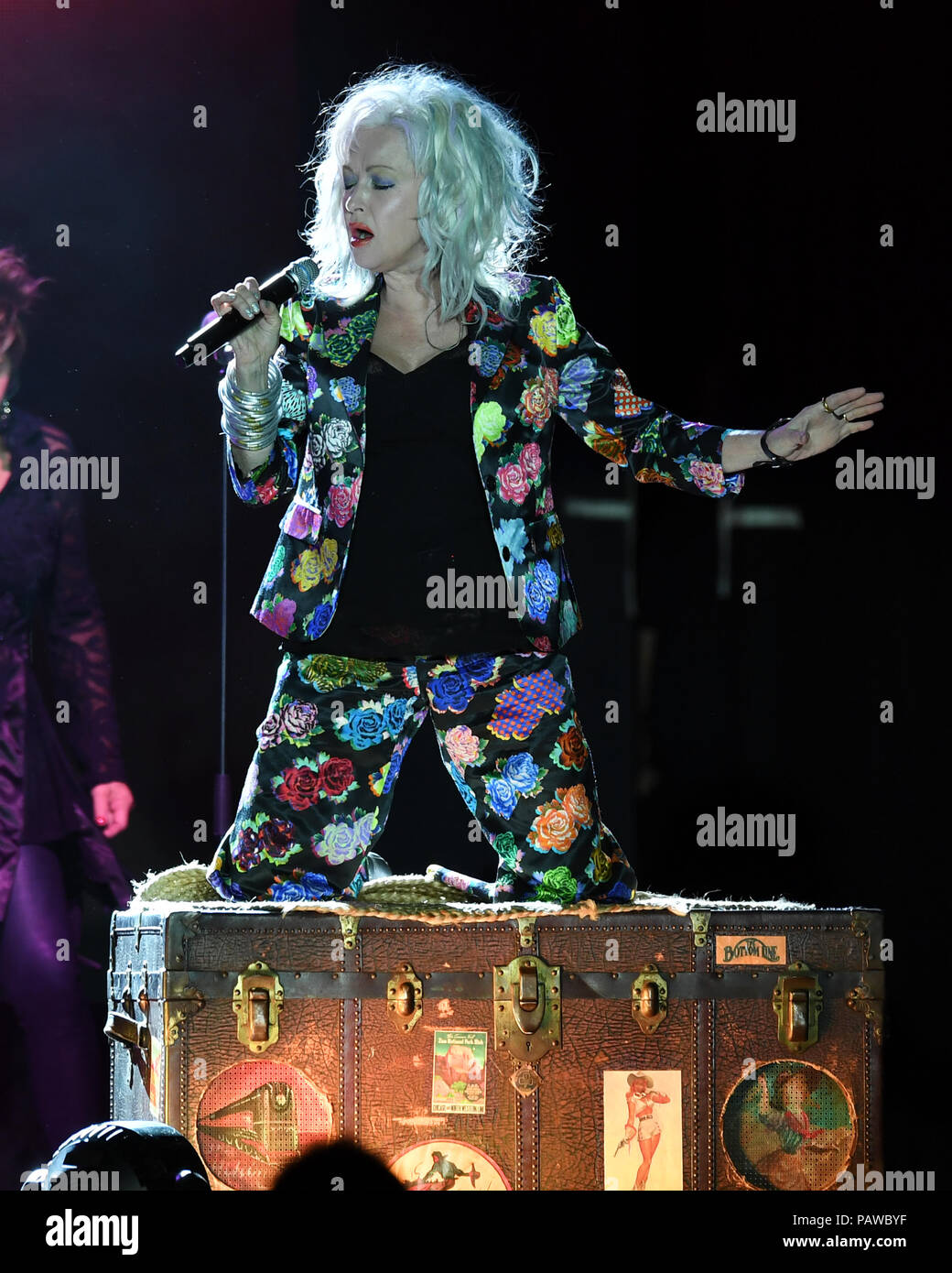 HOLLYWOOD FL - JULY 24: Cyndi Lauper performs at the Hard Rock Events ...