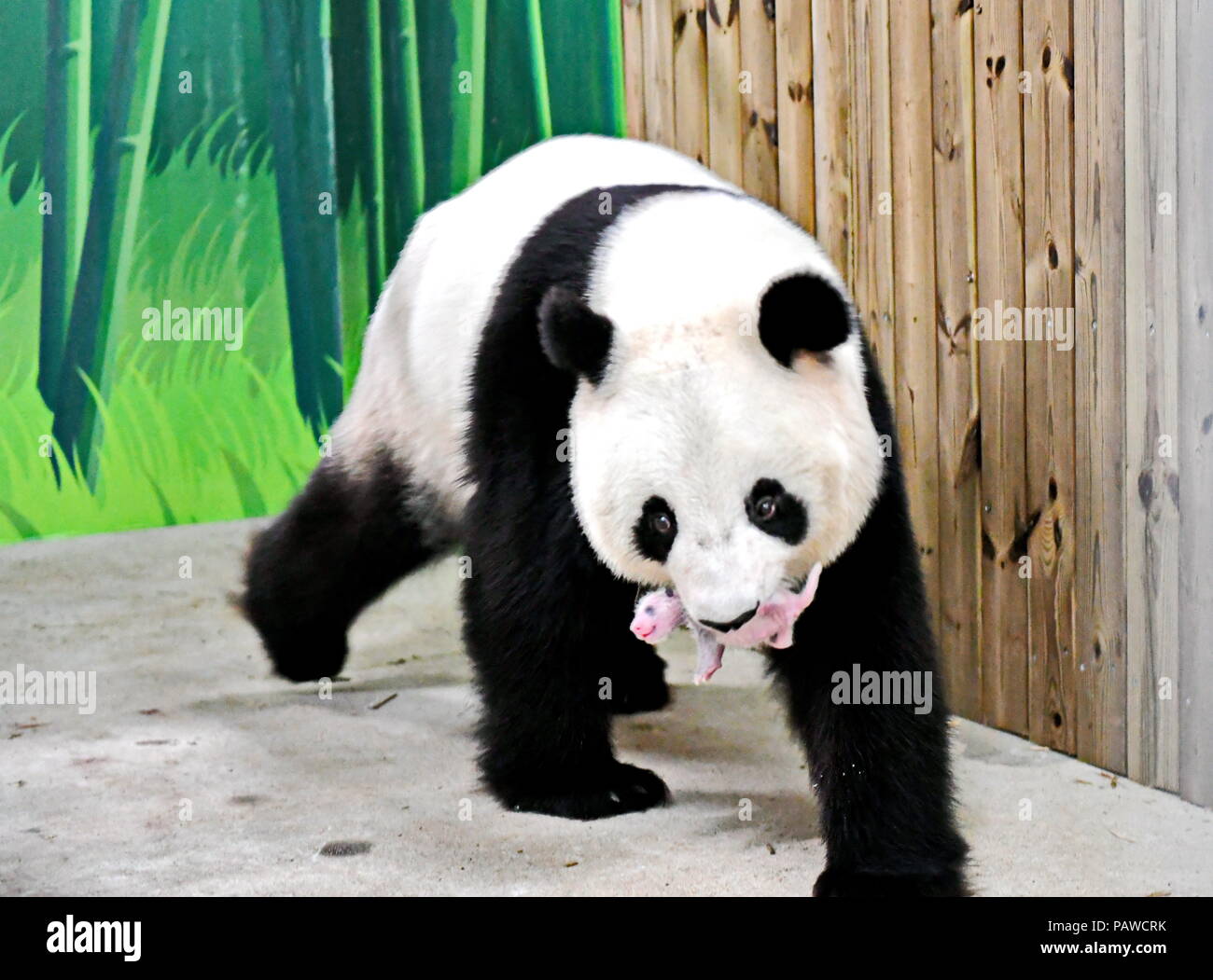 Guangzhou. 25th July, 2018. Photo taken on July 25, 2018 shows giant ...