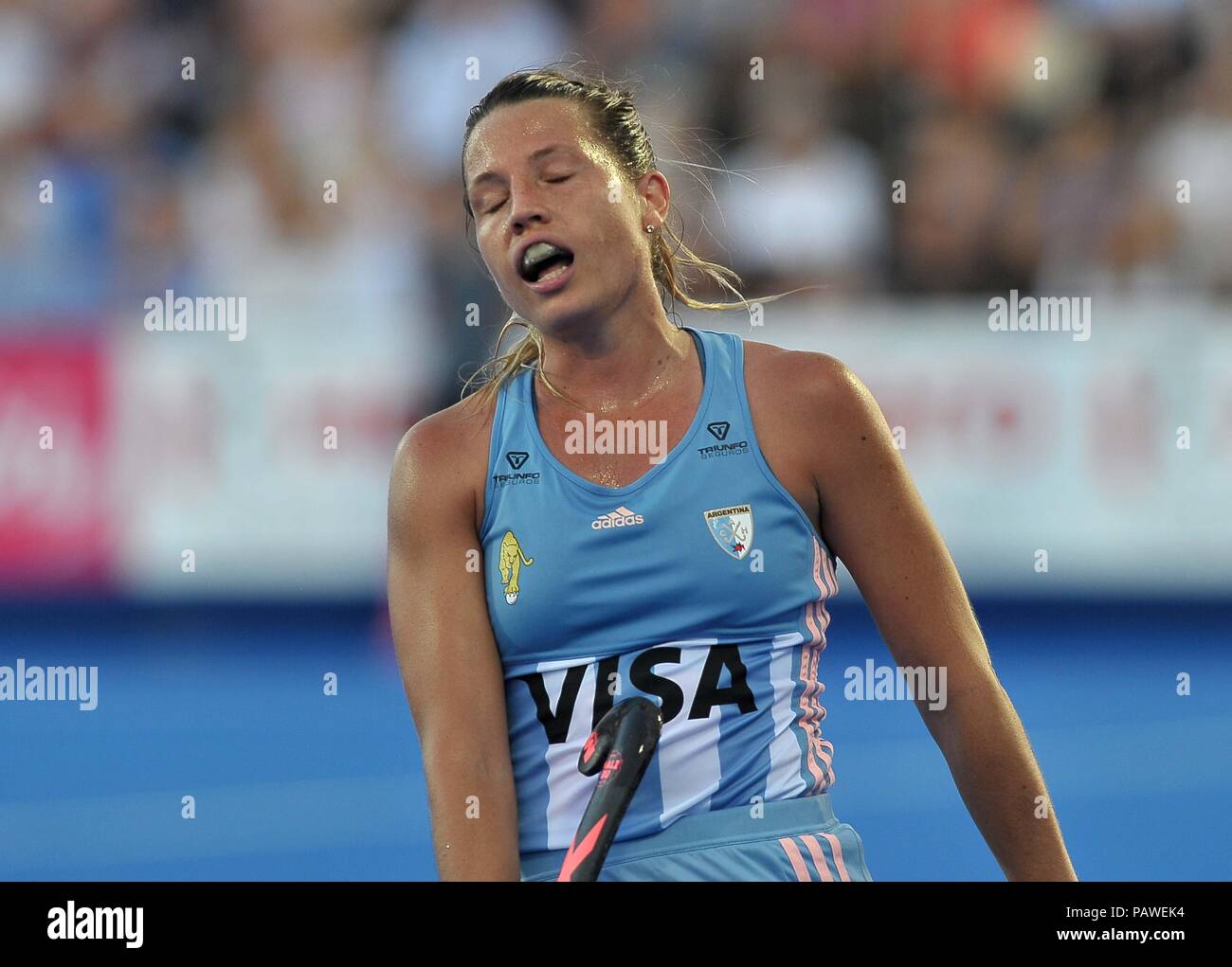 Delfina merino hi-res stock photography and images - Alamy