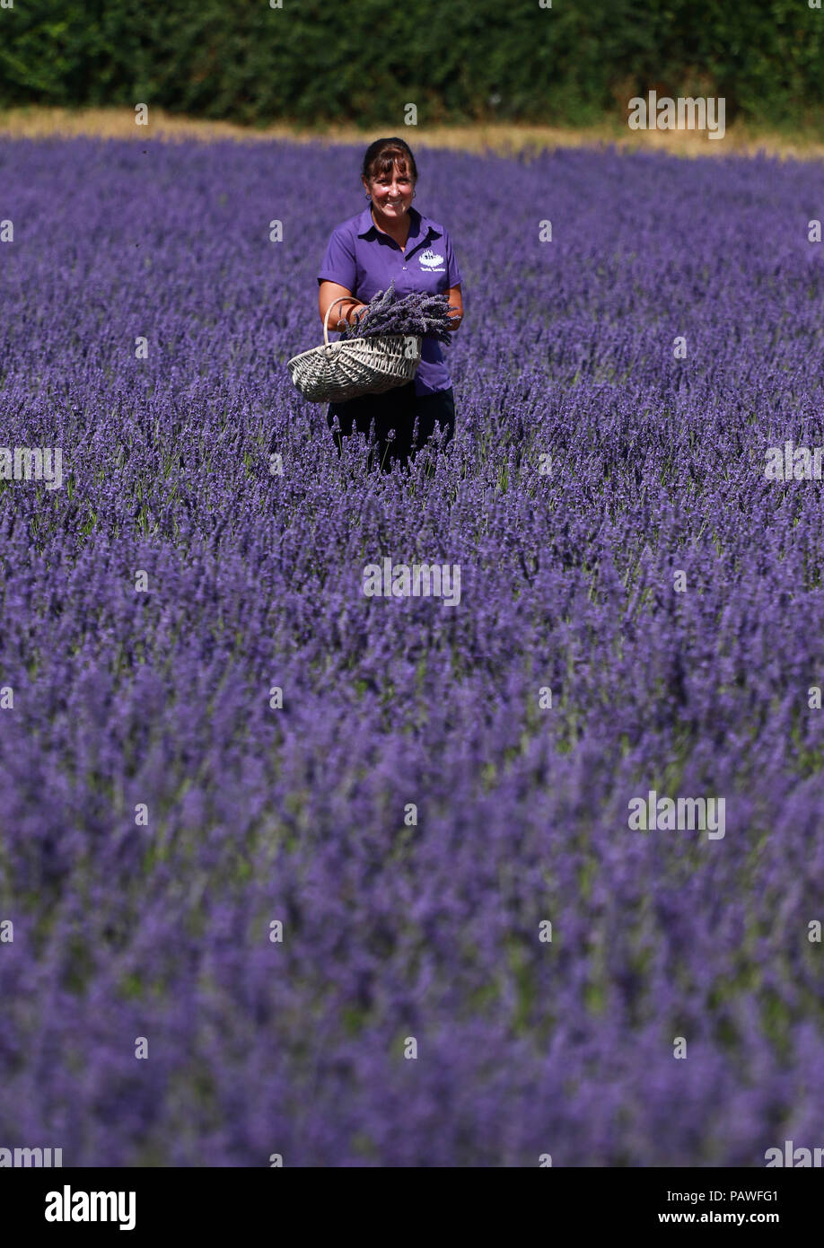 Heacham, UK. 24th July 2018. The hot weather continues as Tracey ...
