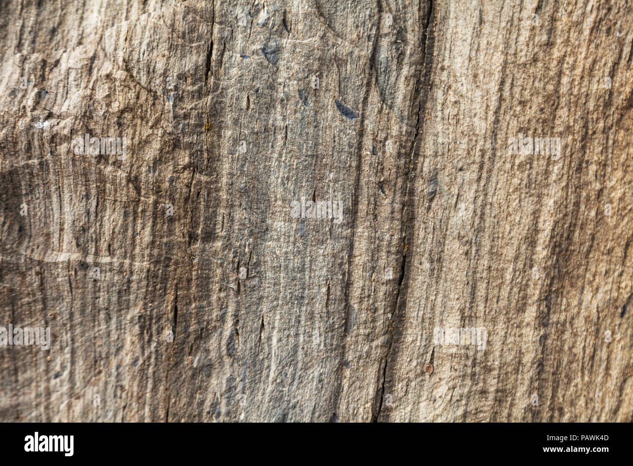 texture of a gray brown stone Stock Photo - Alamy