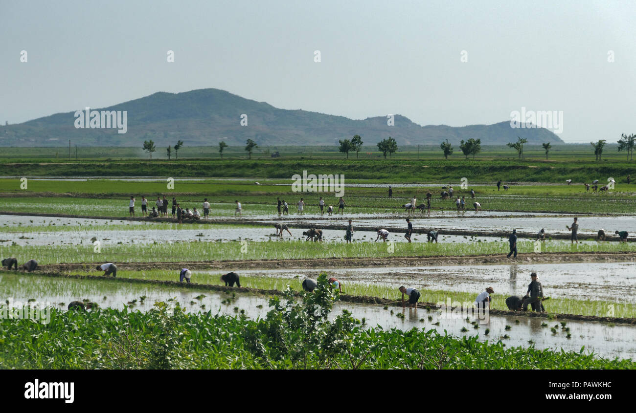 Labouring workers hi-res stock photography and images - Alamy