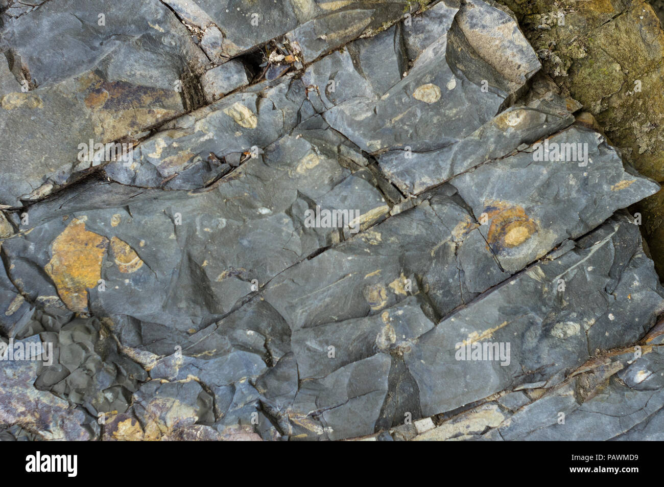 rock formations and stones of the sea coast, weathered and smoothed by ...