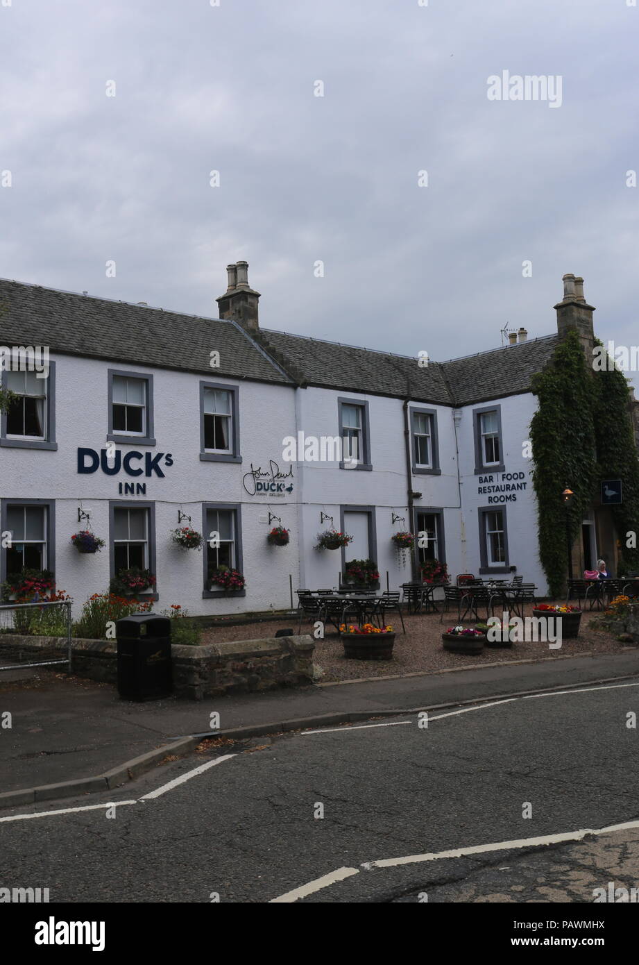 Scottish Ducks High Resolution Stock Photography and Images - Alamy