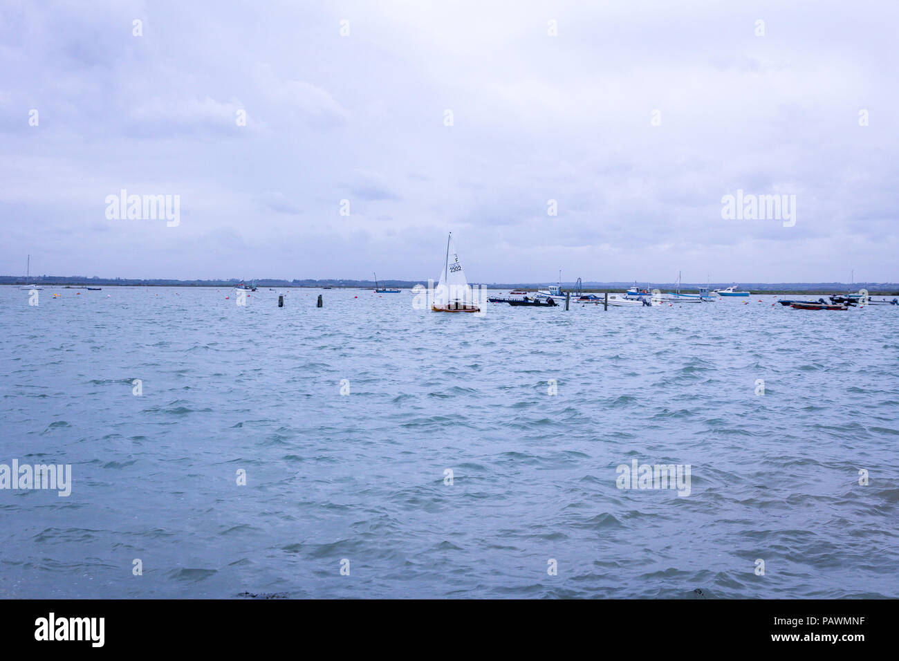Mersea island sailing hi-res stock photography and images - Alamy