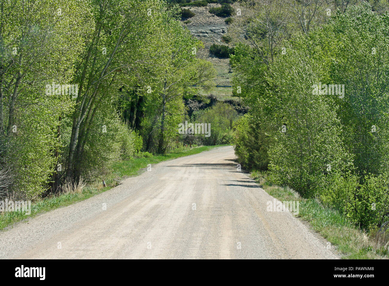 Country road, Montana Stock Photo - Alamy