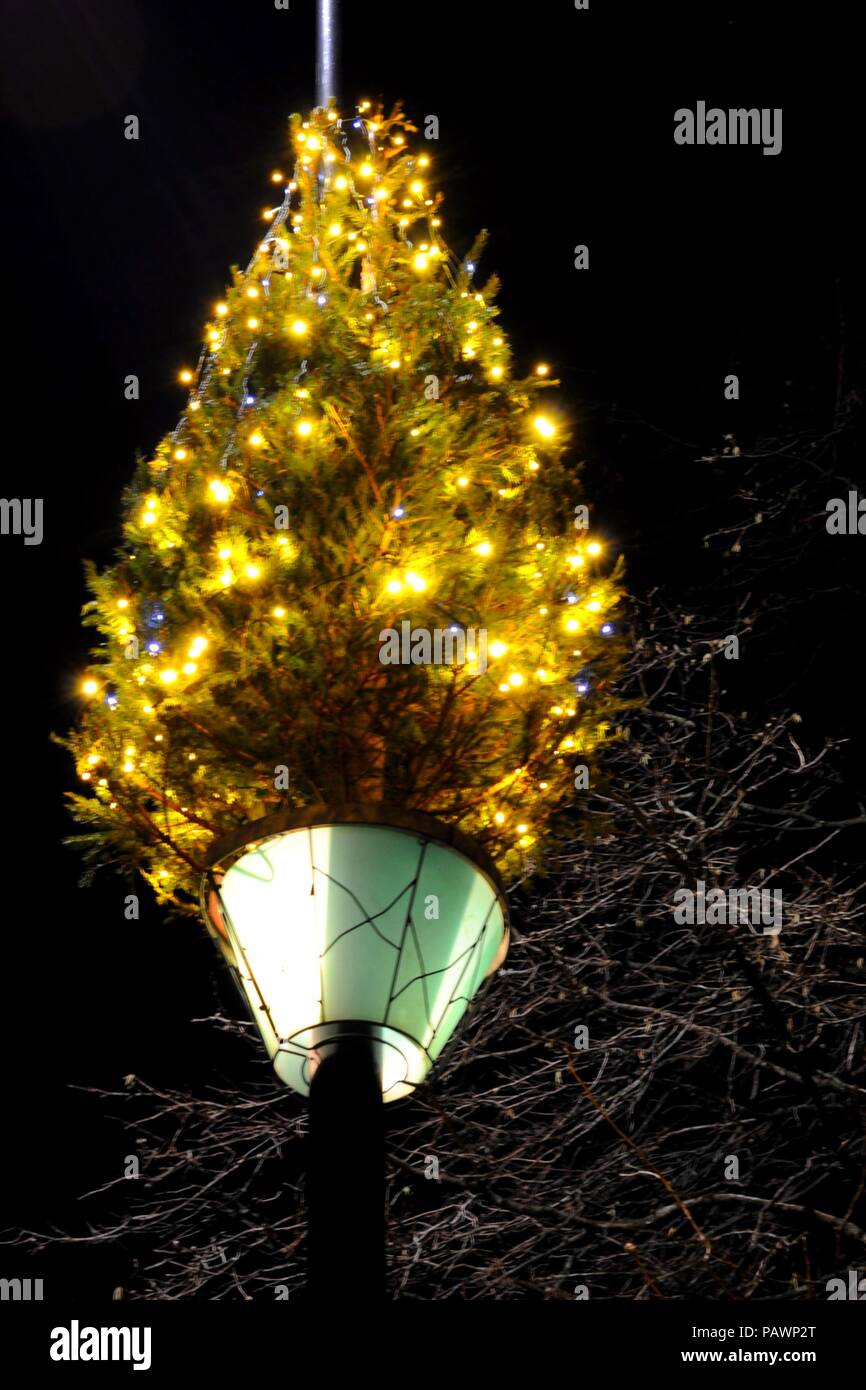 Christmas tree on Sloane Street, London, UK Stock Photo - Alamy