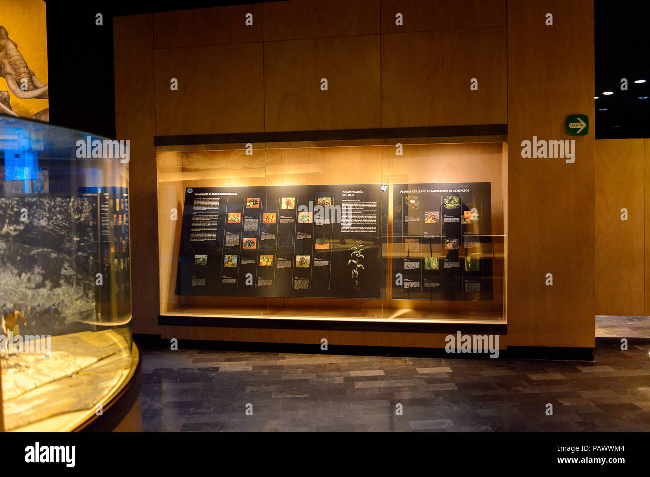MEXICO CITY, MEX - OCT 27, 2016: Exponates of the National Museum of ...
