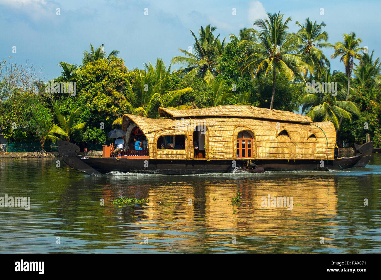 Native trees of india hi-res stock photography and images - Alamy