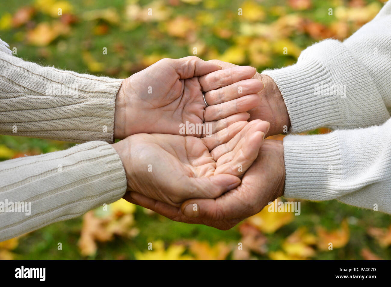 Elderly couple holding hands Stock Photo - Alamy